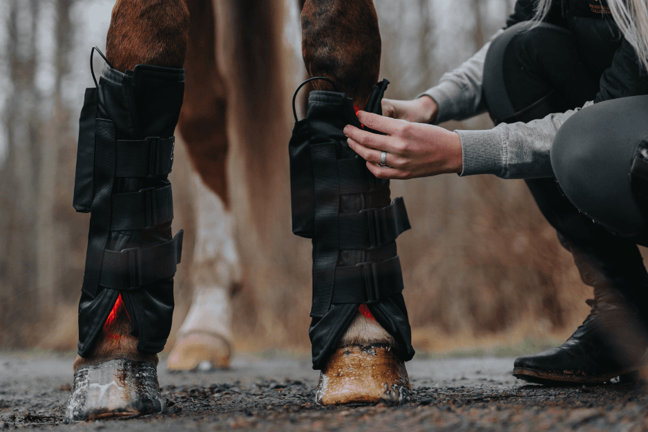 Ontdek de LED Wraps van Led By Cheval! | Emmers Academy