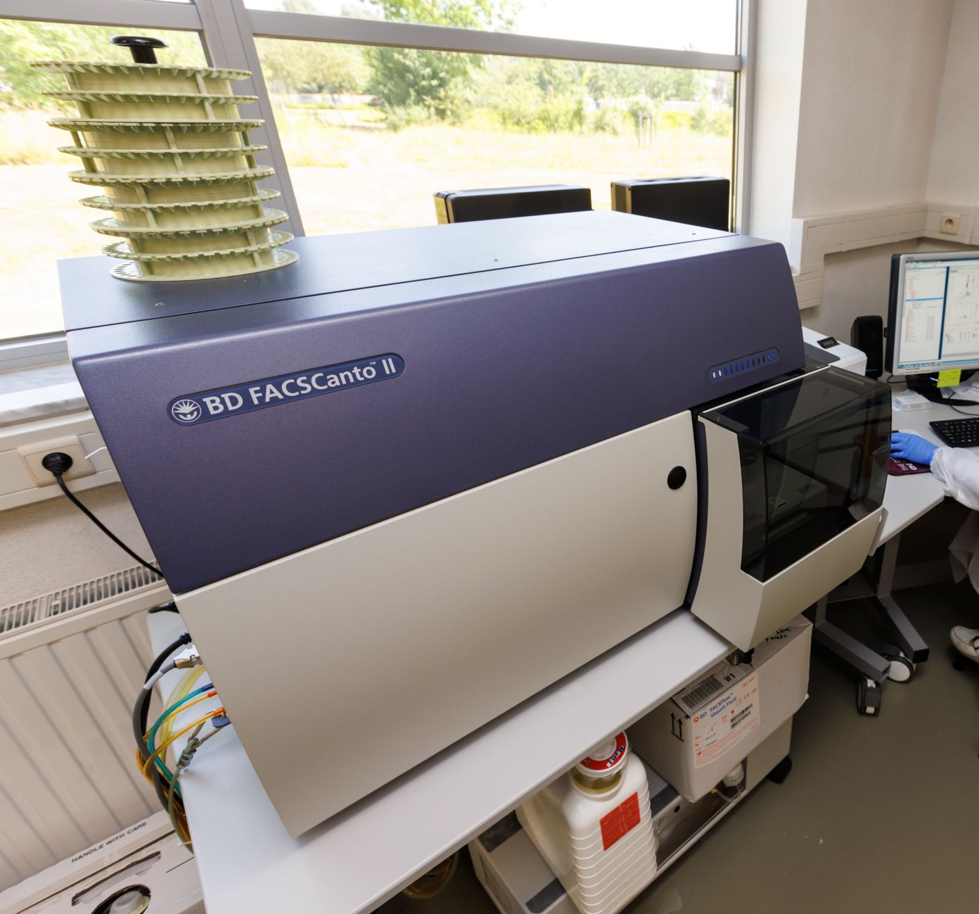 Immune Functions Assays | R.E.D Labs