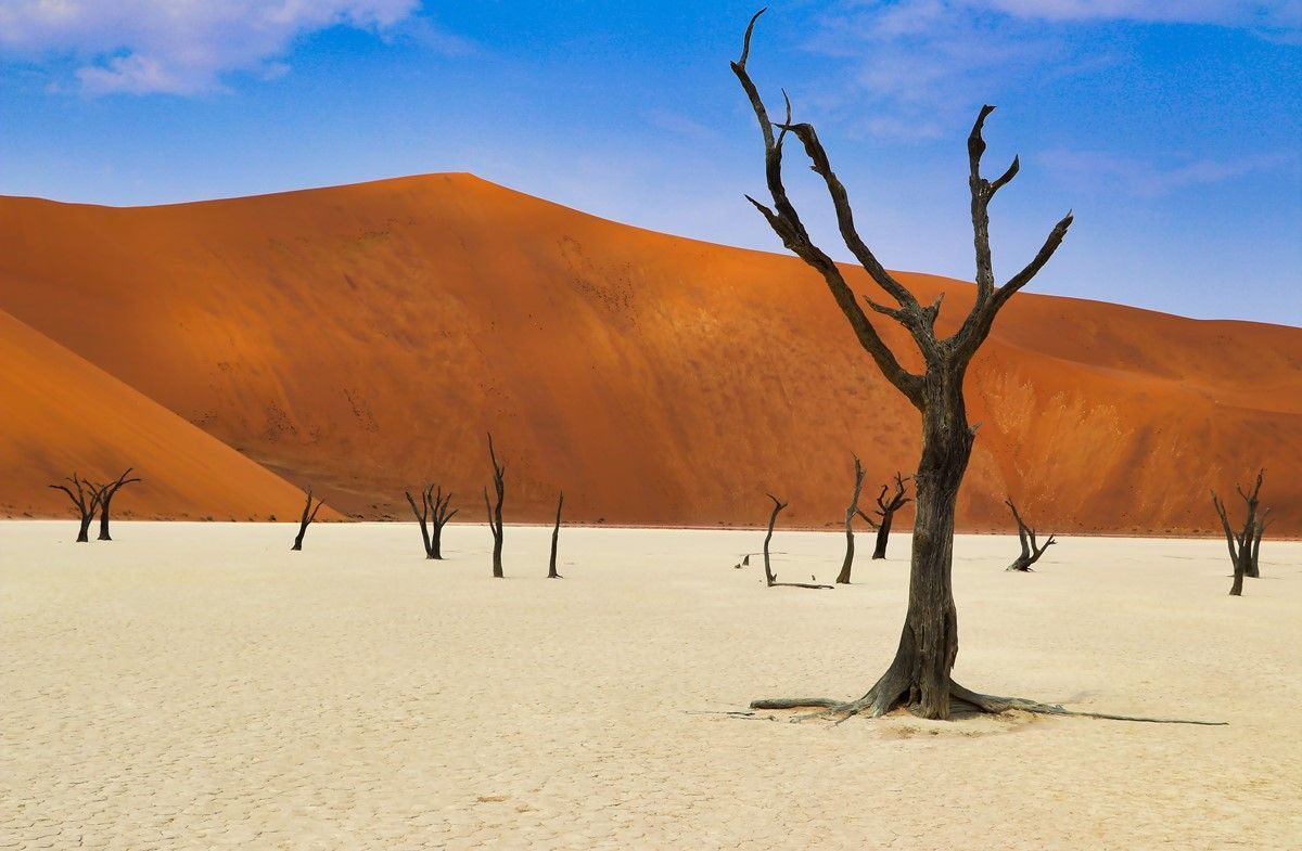 Rondreis Namibië: 15-daagse reis langs hoogtepunten, natuur en safari ...